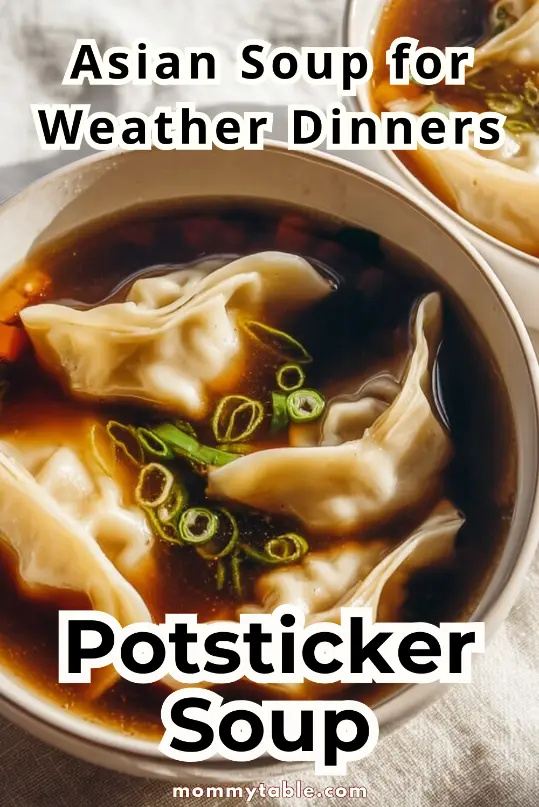 Potsticker Soup